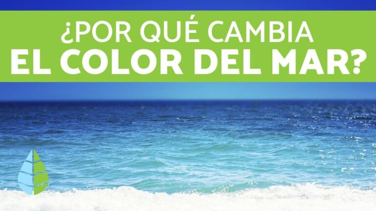 Cambio de Color del Mar: Causas, Efectos y Curiosidades que Debes ...