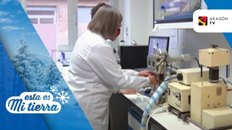 El Papel de la Mujer en la Ciencia: Contribuciones, Desafíos y Avances - juliaherrero.es - Blog ...